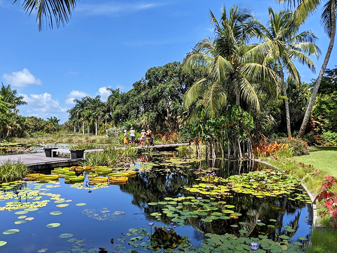 Water lilies so perfect, Monet would trade his easel for a selfie stick. Nature's art gallery is open 24/7!