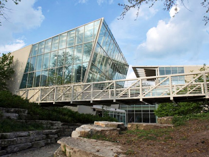 "Where butterflies throw the ultimate garden party, and you're the guest of honor!"