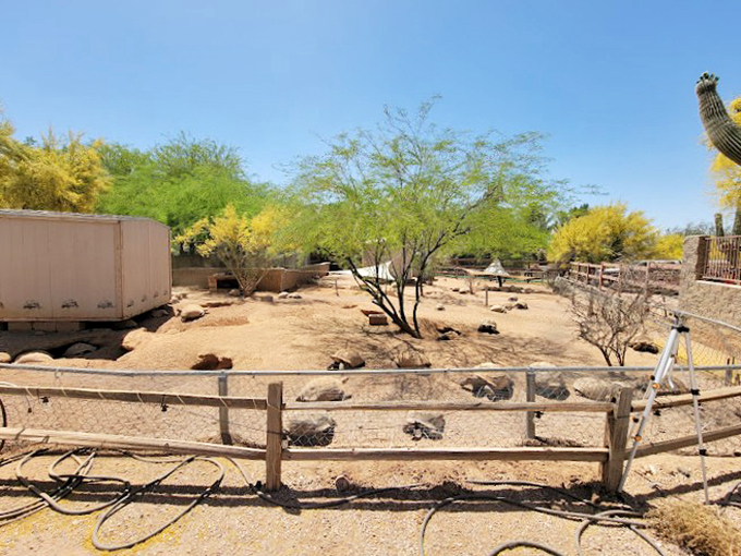Turtle feeding time! It's dinner and a show, but you're definitely not on the menu.