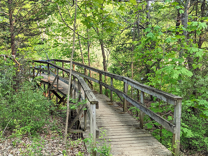 Pinckney's liquid labyrinth! Navigate through a chain of seven interconnected lakes for a paddling adventure that's pure Michigan magic.