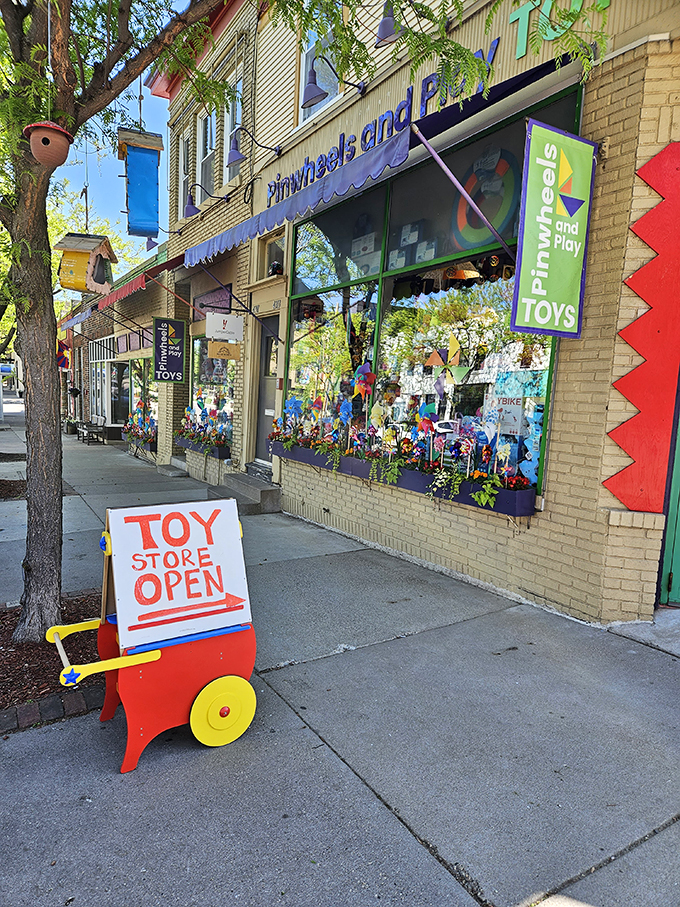 Step back in time at Pinwheels and Play! This charming store is a breath of fresh air in our digital world.