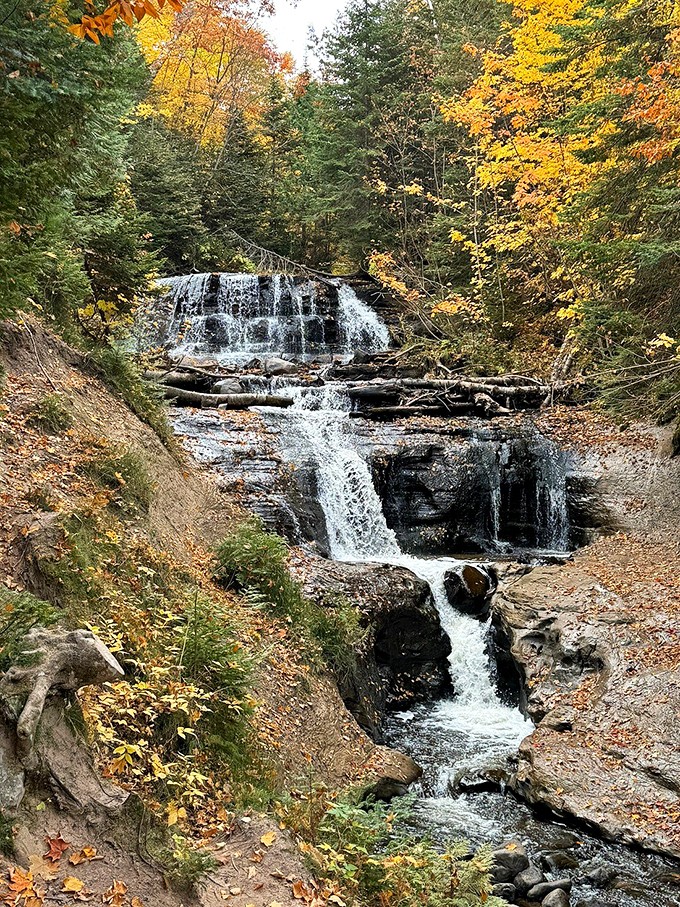 Road trip challenge: Climb 168 steps to waterfall nirvana. Your reward? Views that'll make your Instagram followers green with envy!