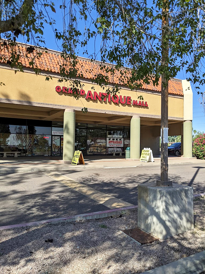 The Superstition Grand Antique Mall: where "vintage" isn't just a filter. It's a playground for the young at heart and the old at stuff.