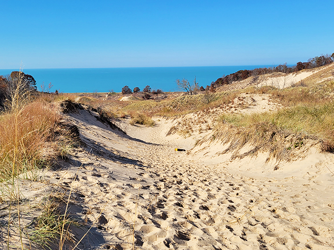 Warren Dunes: where beach meets sandy steps. It's like a StairMaster with a much better view.
