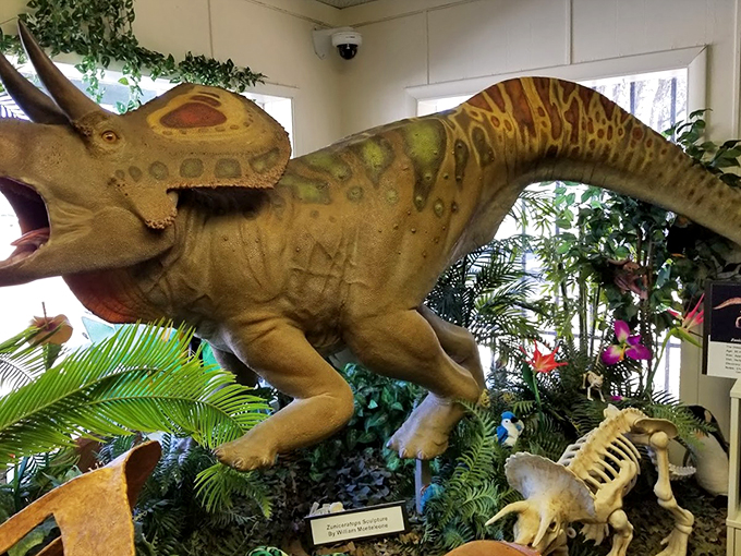 "CSI: Jurassic Edition! Get hands-on with real fossils and channel your inner paleontologist."