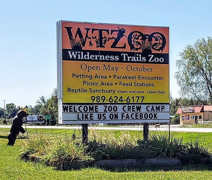 Rolling down the highway? Follow the sign to Wilderness Trails Zoo for a day that&rsquo;s equal parts wild and wonderful.