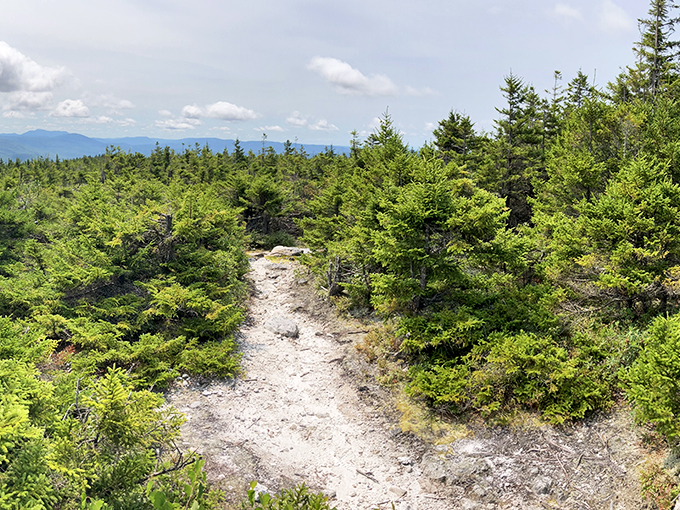 From Bald Mountain's fire tower, you can see three states. It's like being on a really tall, really green tricycle of awesome.