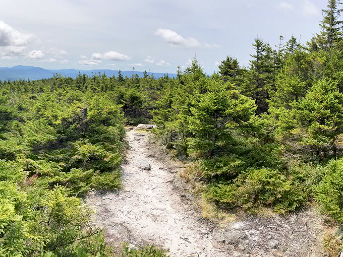From Bald Mountain's fire tower, you can see three states. It's like being on a really tall, really green tricycle of awesome.