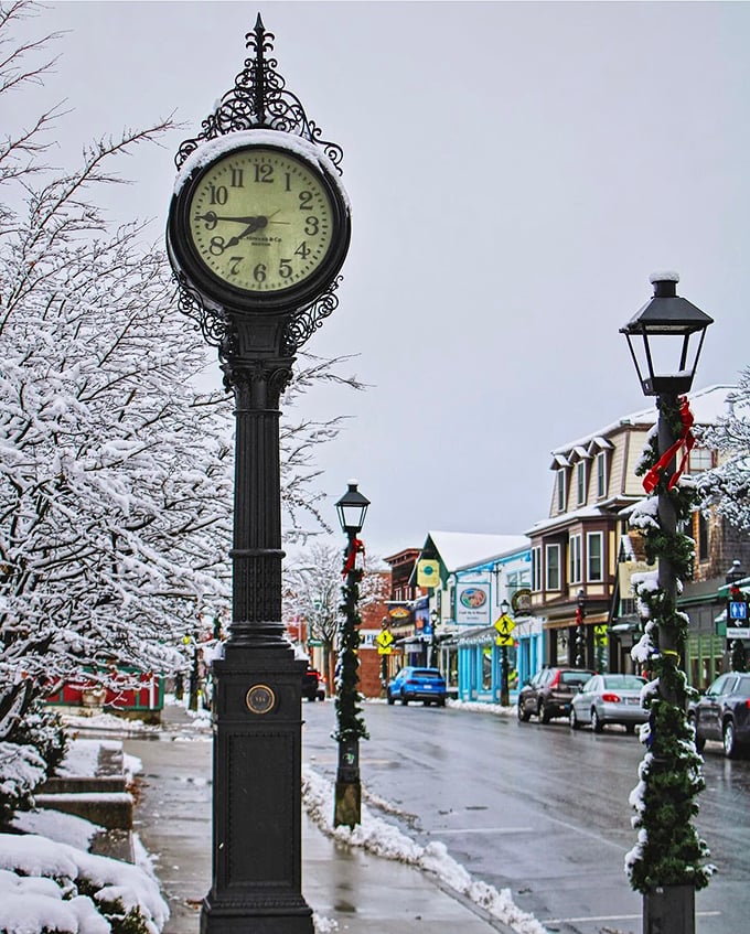 Acadia meets St. Nick in Bar Harbor, where nature's majesty gets a twinkling holiday makeover.