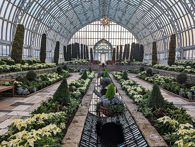 Stretch your legs and your imagination in this glass-domed wonderland. Road trip meets safari meets greenhouse!