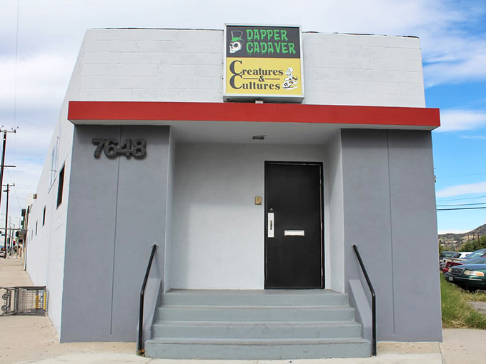 Road trip rule #2: Always investigate the weird. This oddity shop turned restaurant is a must-see (and must-taste)!