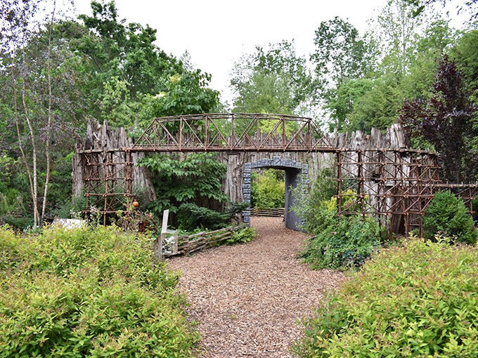 Spring's grand entrance at Fernwood. These tulips are strutting their stuff like they're on nature's own floral fashion runway.