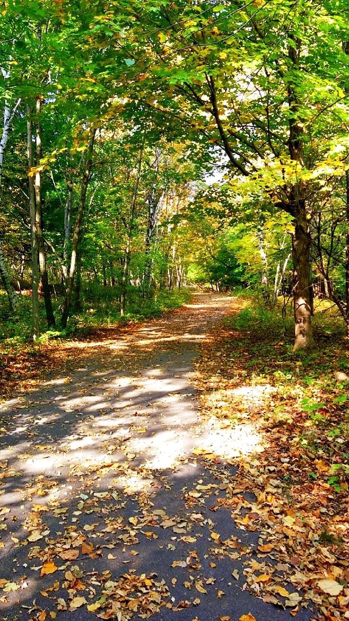 Cruise through a kaleidoscope of autumn hues on Frontenac's winding park roads.
