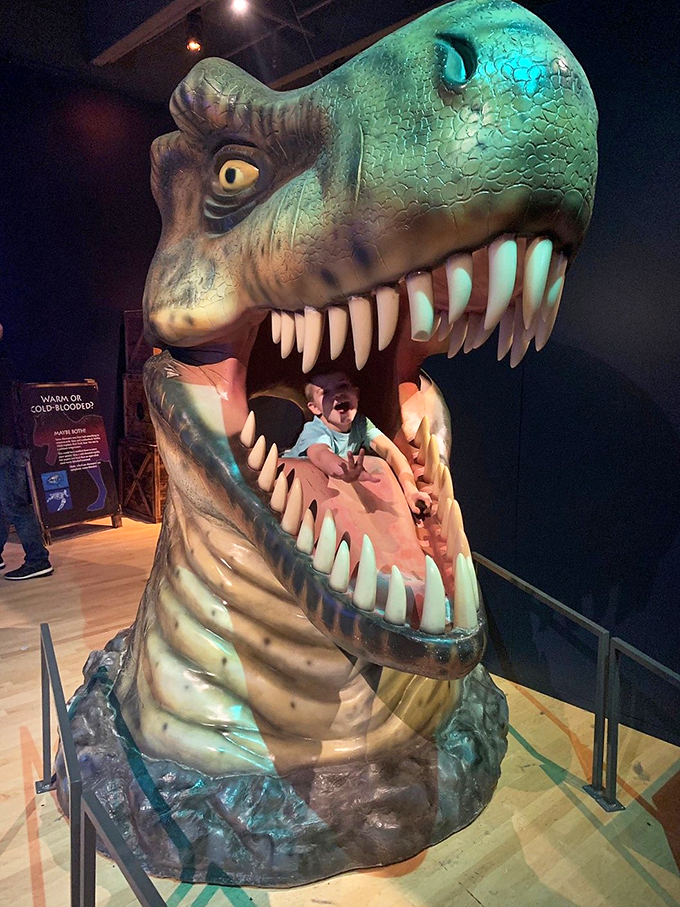 T-Rex photo op alert! Get up close and personal with prehistory's most famous chompers at the Grand Rapids Public Museum.