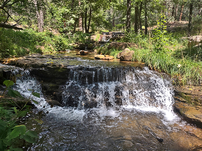 Cool streams and shady dreams. This lush oasis is Arizona's best-kept secret.