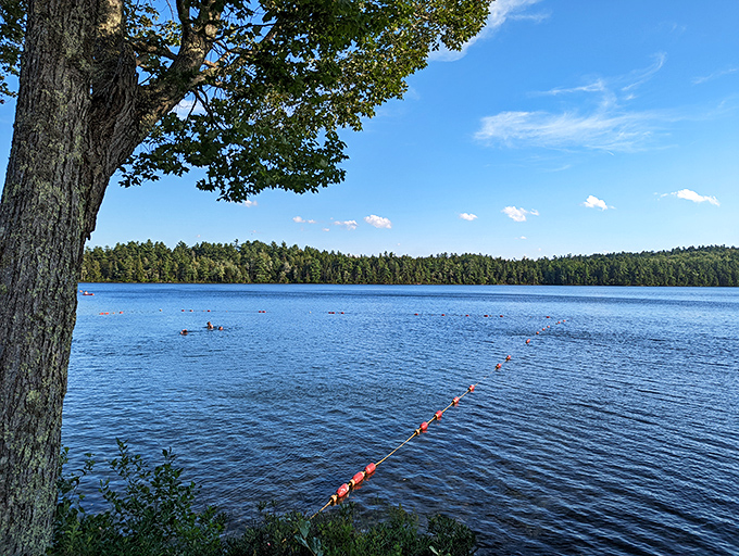 Serenity at Lake St. George. The perfect backdrop for contemplating the meaning of life.