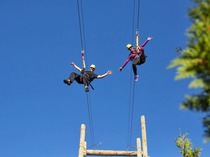 Treetop tightrope walking: For when you want to feel like a circus performer, but with better views and less sequins.