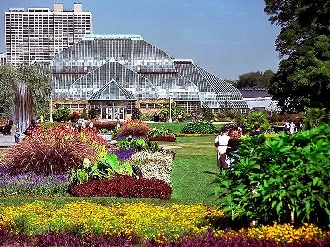 Stairway to the past. Each step on Monks Mound is a leap back in time.