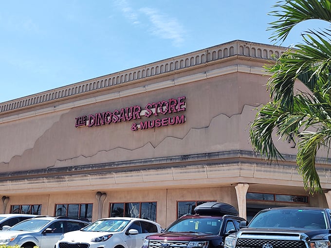 From T-Rex to Tutankhamun, this place is like a time-traveling beach party through history.