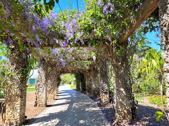 Tropical waterfall or nature's ultimate shower? Either way, this cascading beauty is making a splash in garden design.