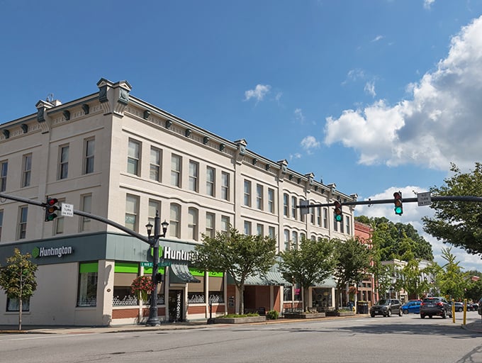 Oberlin's streetscape: A living museum of architectural styles. From Federal to Italianate, it's an Instagram-worthy history lesson.