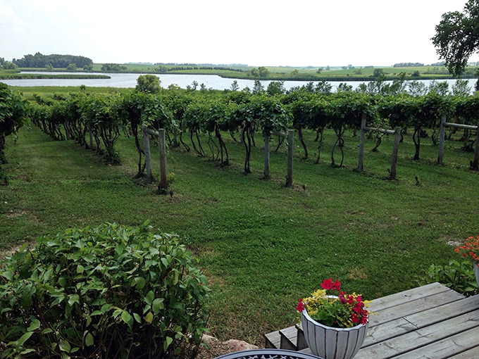 Wide-open spaces and full-bodied wines &ndash; Painted Prairie is where your wanderlust meets your wine list.