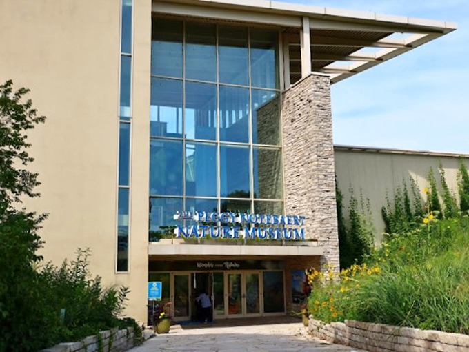 "Nature's nightclub: less EDM, more BMM (Beautiful Monarch Music)."