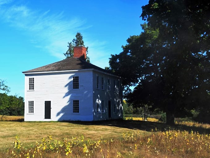 Abandoned doesn't mean forgotten. These weathered buildings tell tales louder than any tour guide.