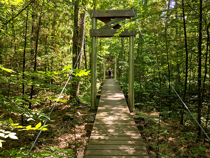 Urban escape with a wild twist. Who knew Rutland was hiding this gem?