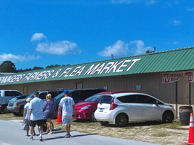 Under these shady trees, treasure hunters gather. It's like an archaeological dig, but with price tags.