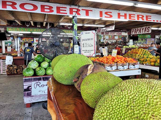 Part farmers market, part milkshake mecca, Robert's stand is a fruity paradise in the heart of Homestead.