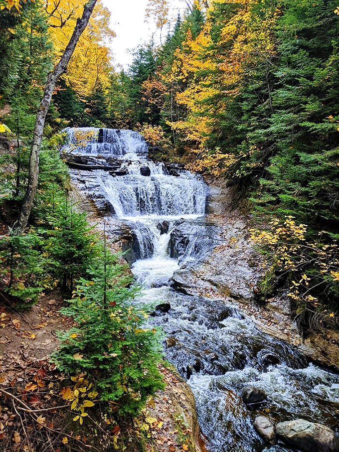 Sable Falls: The pit stop that'll have you saying, "Are we there yet?" in the best possible way!