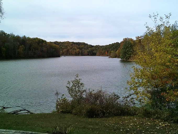 Detour to delight: Salt Fork Lake, where road-weary wanderers become beach-loving loungers.