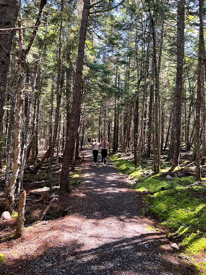 Maine's rugged beauty at its finest.