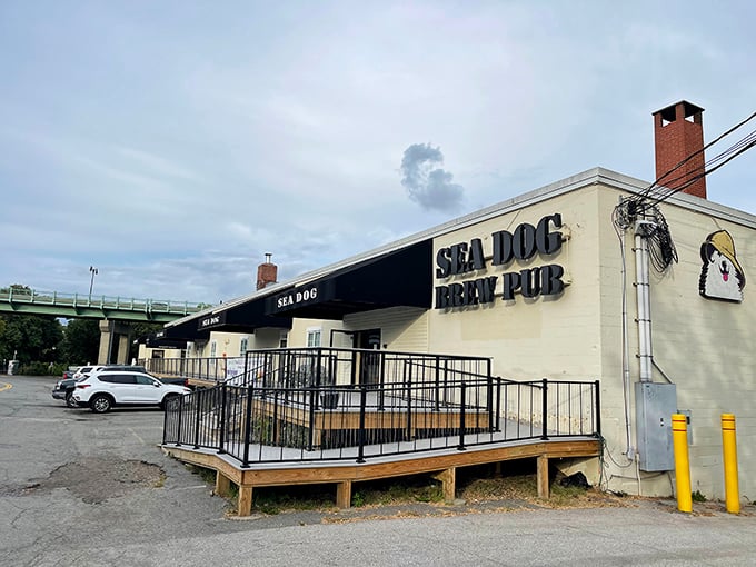 Navigate to nirvana: Sea Dog is your port of call for craft beer and riverside relaxation.