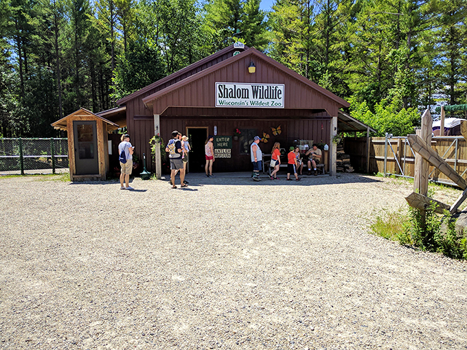 Part safari, part petting zoo, all adventure. Shalom Wildlife Zoo is bringing a taste of the Serengeti to the Midwest.