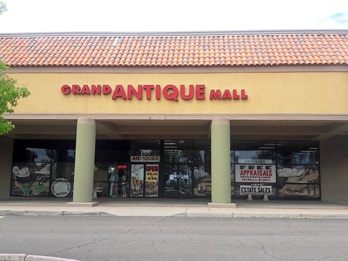 Mesa's own time capsule, conveniently open for browsing. Warning: may cause spontaneous nostalgia and impulse purchases of rotary phones.