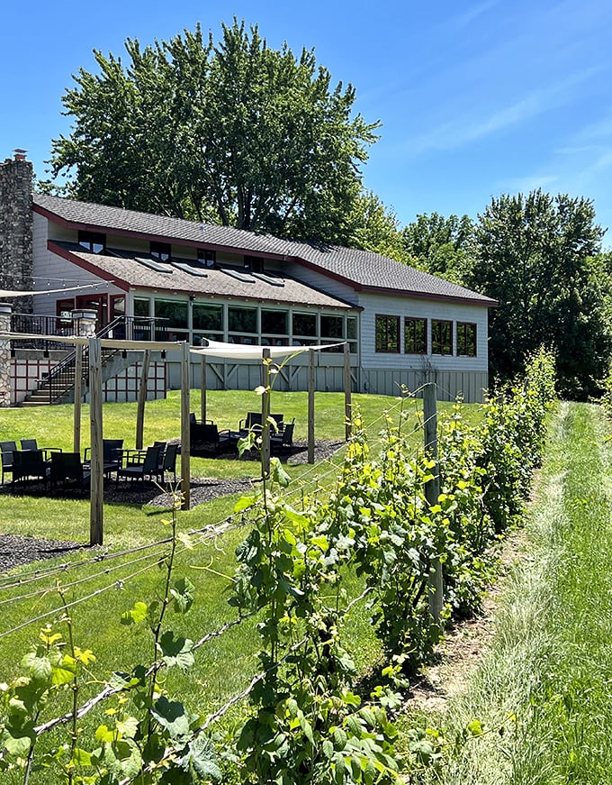 Outdoor seating that makes "al fresco" sound fancy. Here, every sip comes with a side of sunshine and vineyard vistas.