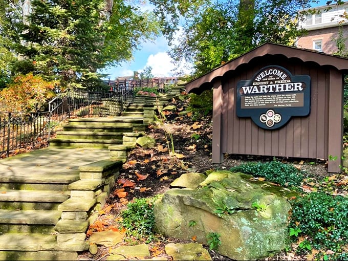 Steam into a world where wood becomes magic &ndash; just don't get any ideas about whittling while driving!