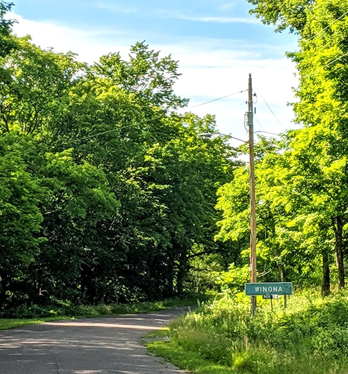 Hidden in plain sight: Winona challenges visitors to see beyond the greenery and into the heart of mining history.