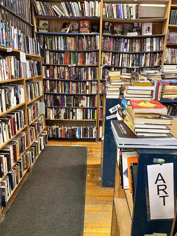 From Beethoven to Basquiat! Myopic's art and music section is a harmonious blend of visual and auditory inspiration.