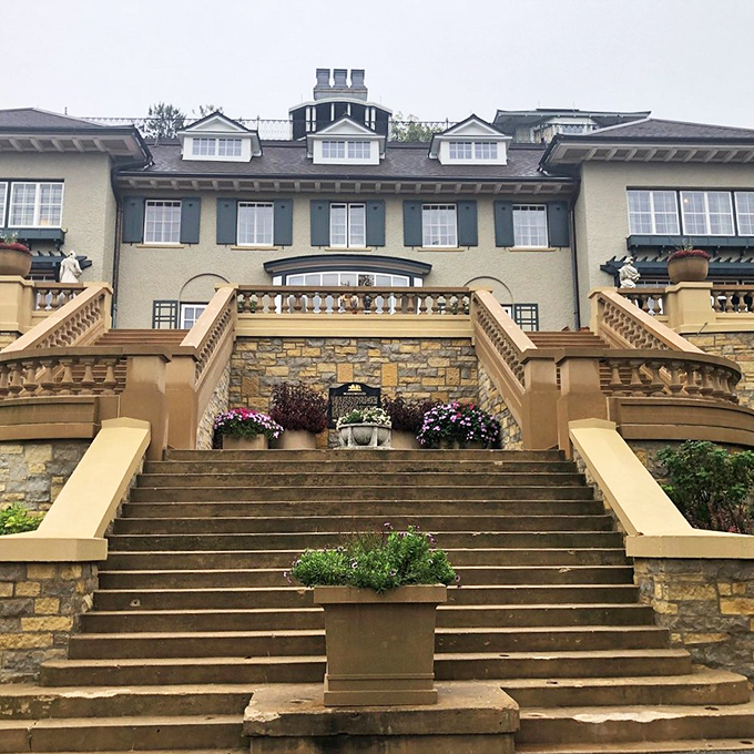 These stairs have seen more drama than a soap opera. Each step at Mayowood is a walk through time.