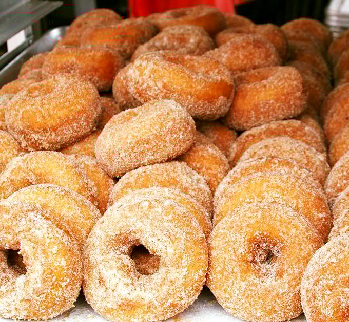 Donut nirvana achieved! These golden rings of joy look like they could turn even the grumpiest morning person into a ray of sunshine.