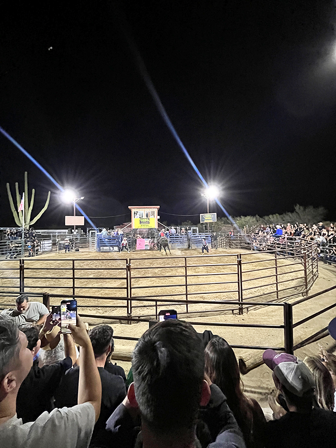 Under the desert stars, cowboys and bulls dance their age-old tango. It's poetry in motion, with a side of dust and adrenaline.