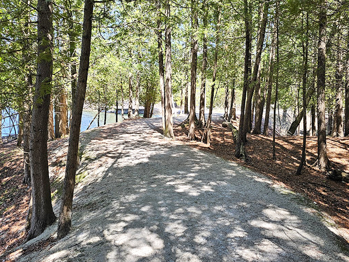 The beach is calling, and I must go! But first, let's appreciate this 'tunnel of trees' moment.