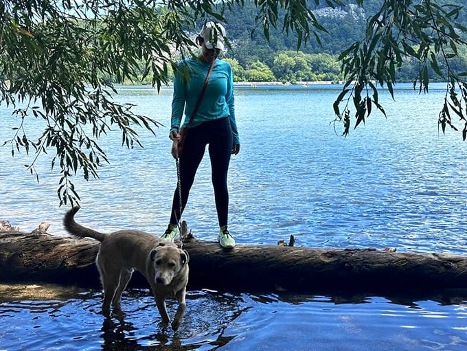 Who let the dogs out? Apparently, Devil's Lake did! Pups and people alike find paradise in these crystal-clear waters.