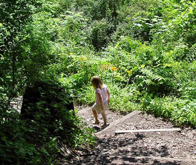 Who needs a treadmill when you've got nature's own StairMaster? These trails offer a workout with a view that no gym can match.