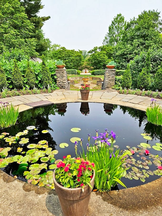 "Reflecting on beauty." This serene pond mirrors the surrounding splendor. Mother Nature's own Instagram filter!