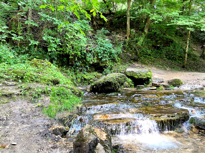 "Nature's own water feature! This babbling brook is like a soothing soundtrack for your hike &ndash; no noise-canceling headphones required."