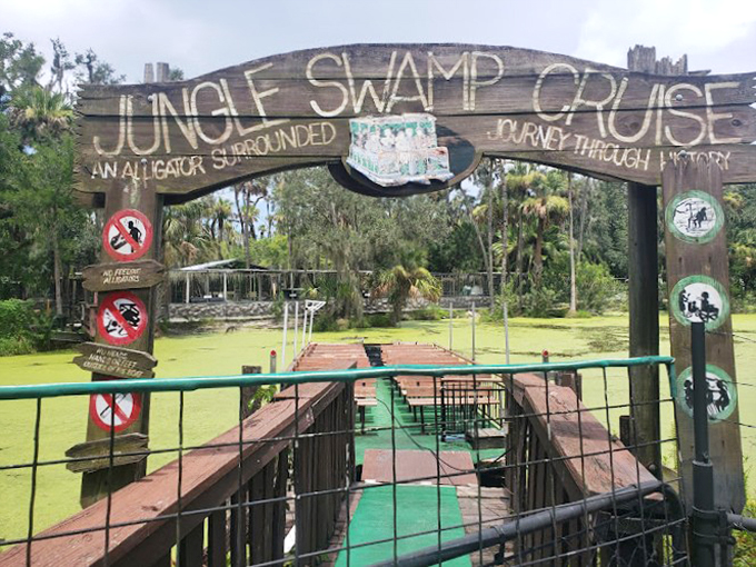 All aboard the Swamp Express! This jungle cruise promises a journey through history, with a side of 'gator-ade' thrills.